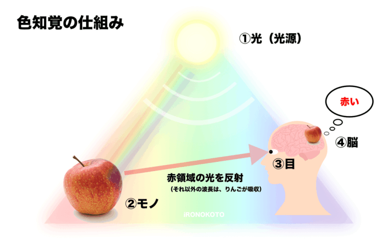 色が見えるしくみ【Part.1】：可視光線の特徴と物体との関係を深掘り解説